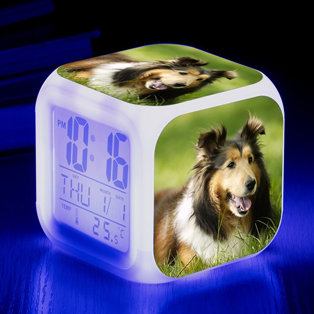 Animal World Pet Dog Colorful Color Changing Alarm... – Vicedeal