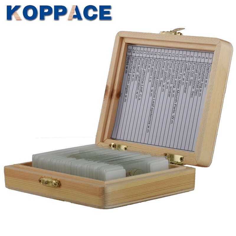 KOPPACE 25 Slices Of Biological Tissue Slides Wood... – Vicedeal
