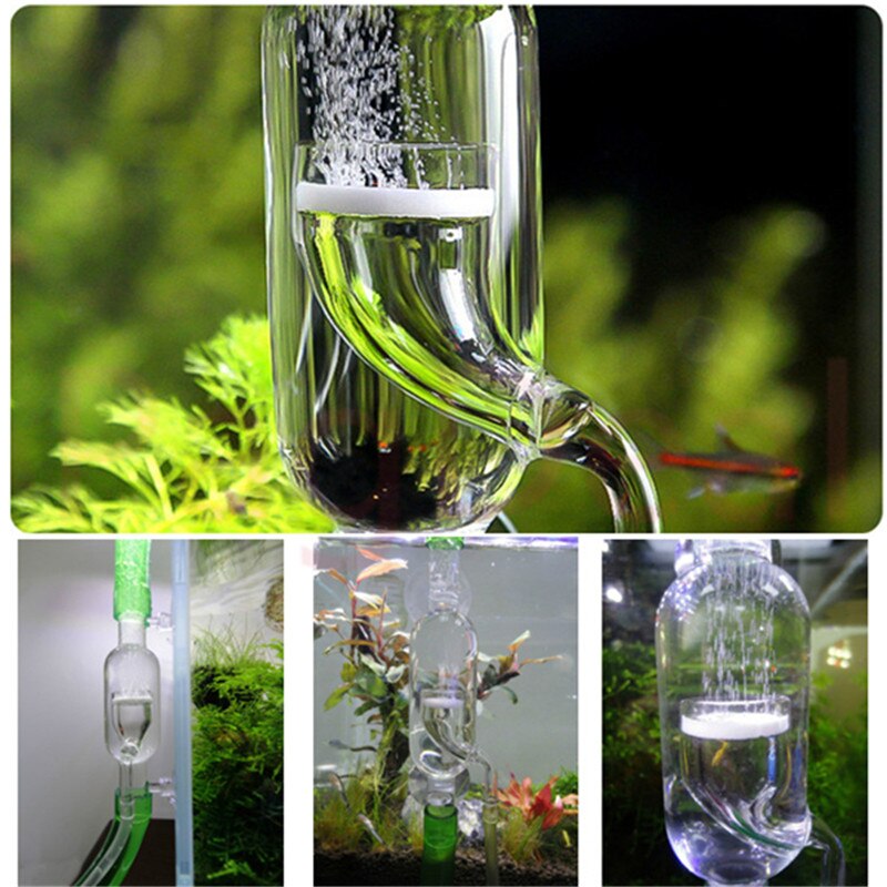Aquatics Inline Diffuser 12/16 16/22 Glass CO2 Ato... – Vicedeal