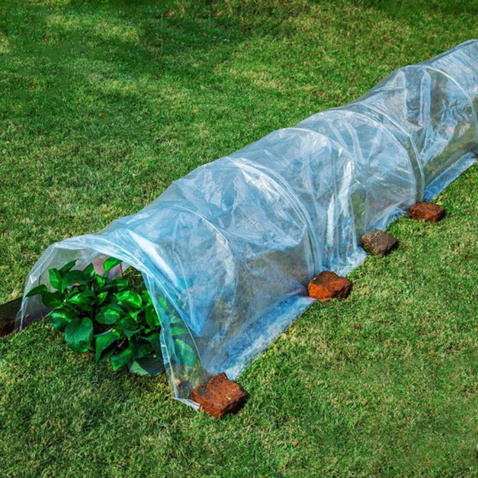 5M Long Tunnel Garden Greenhouse Adjustable Grow P... – Grandado
