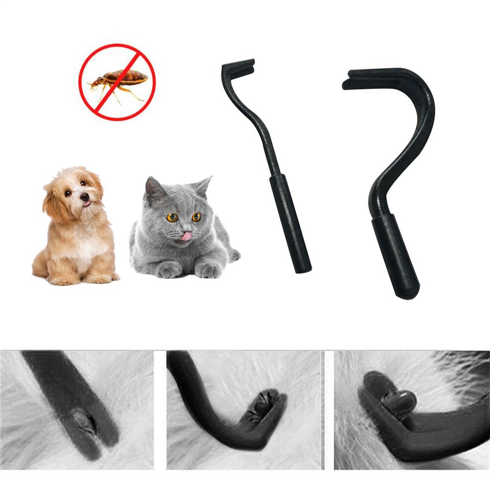 2pcs Pets In Addition To Scorpion Clips To Catch F... – Vicedeal