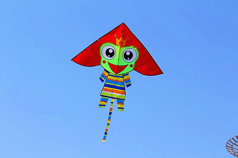 Outdoor Fun Sports 79 inch Frog Kite /Animal Kites... – Grandado