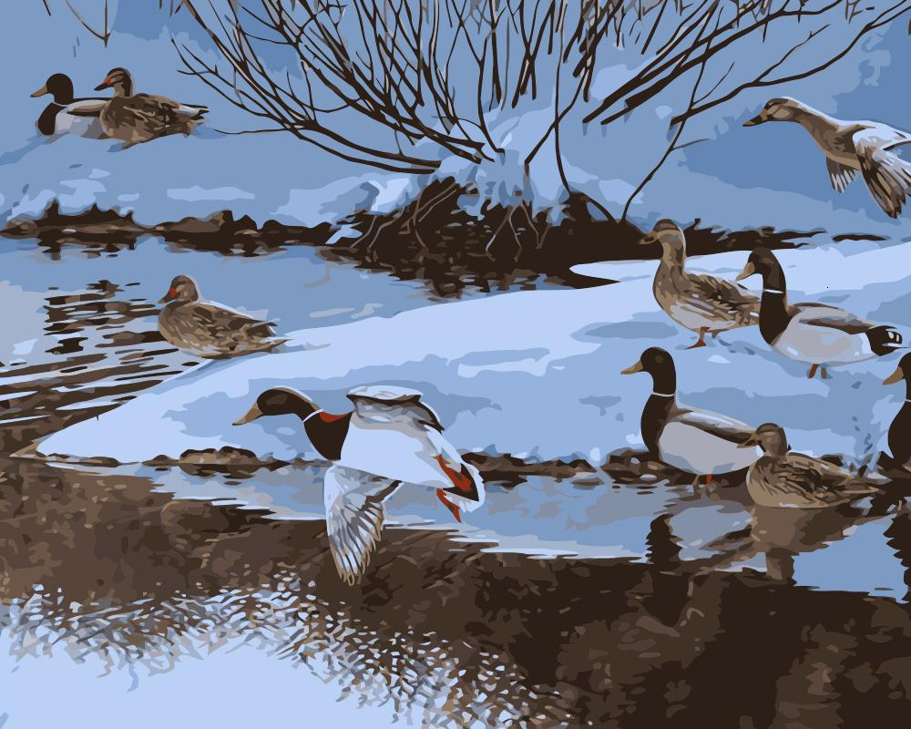 HUACAN Picture By Numbers Animal Kits Drawing Canv... – Grandado