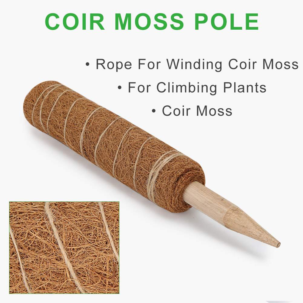 Plant Climbing Coir Totem Pole Safe Gardening Coco... – Grandado