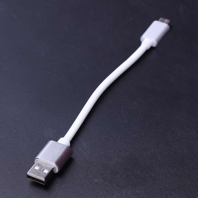 Short 10Cm Usb-C Usb 3.1 Type C Male To 2.0 Type A... – Vicedeal