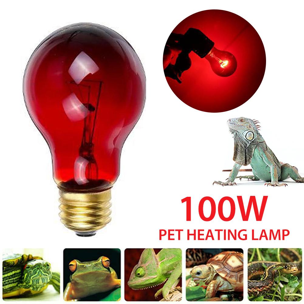 E27 110V 100W Amphibian Snake Reptile Heating Ligh... – Grandado