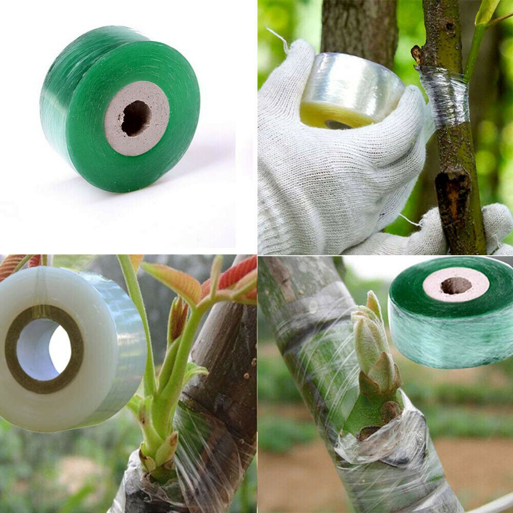 Grafted Tape Parafilm Pruning Strecth Budding Gard... – Vicedeal