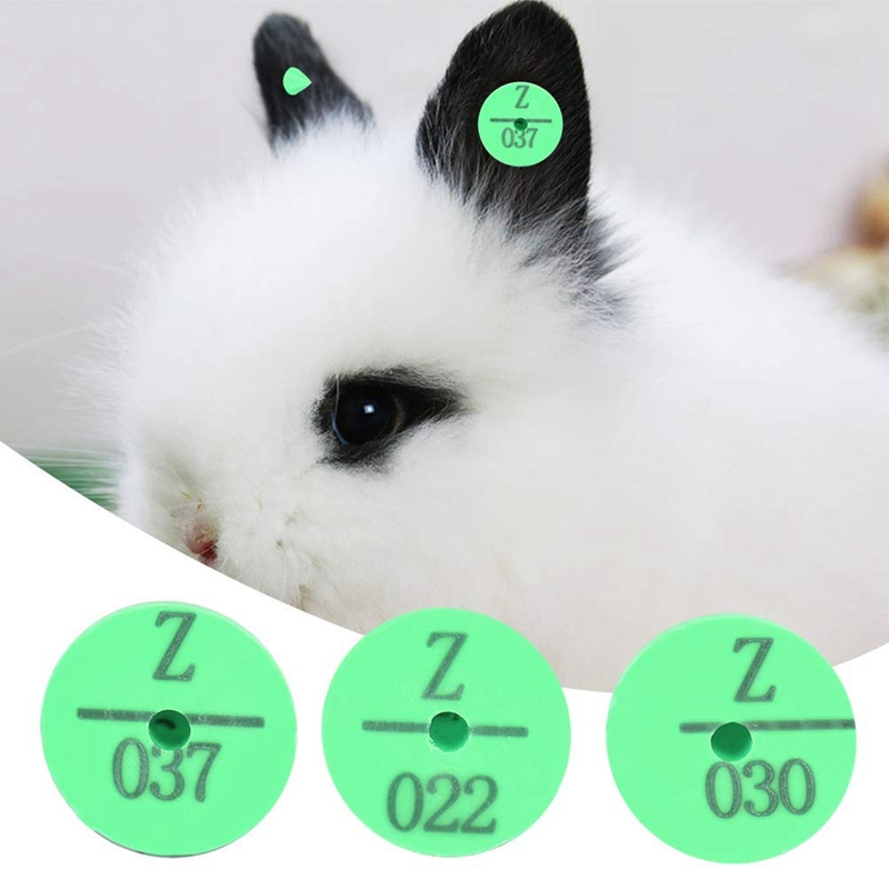 100Pcs Plastic Animal Livestock Ear Tag For Rabbit... – Grandado