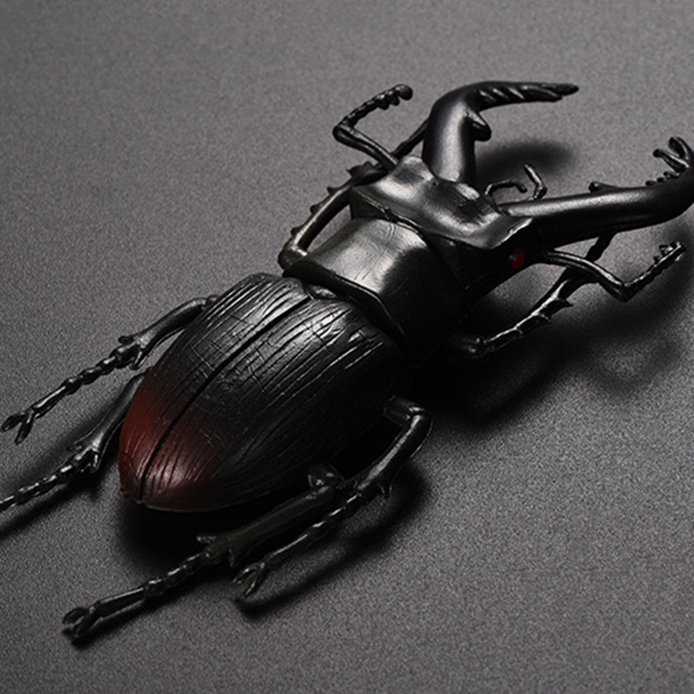 6Pcs Simulation Beetle Insect Toy Model For Kids A... – Vicedeal