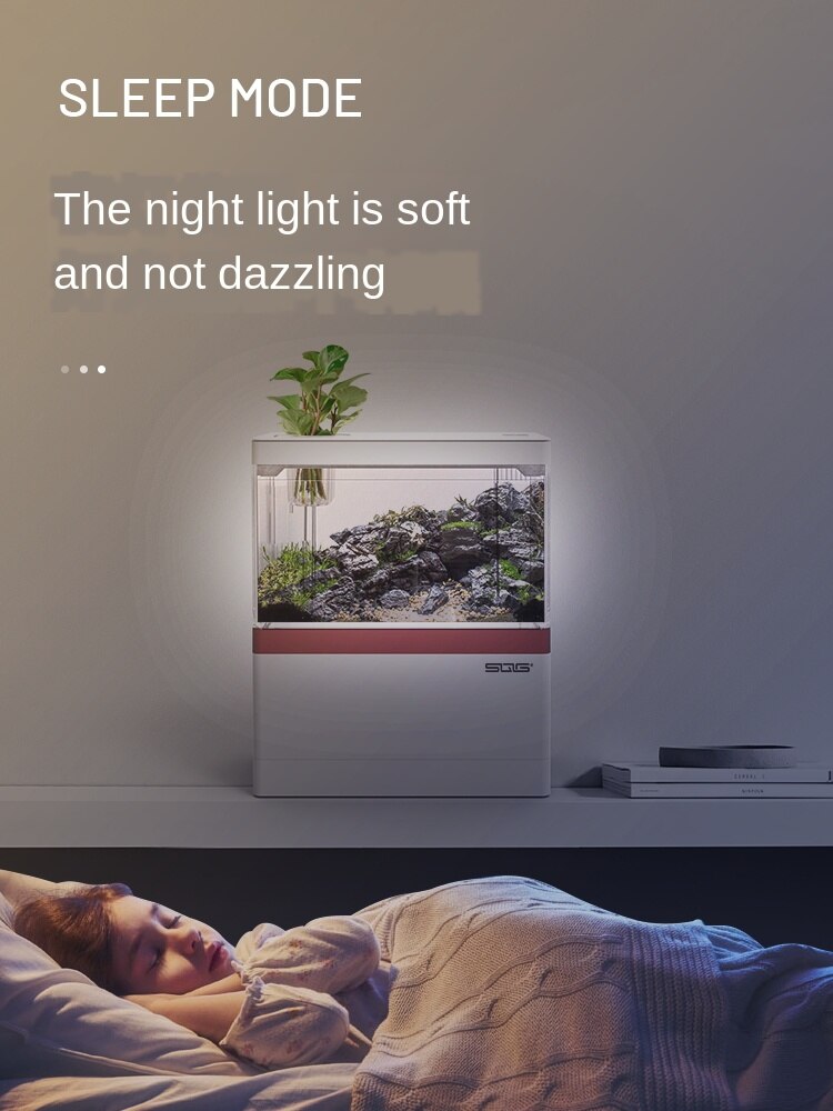 Desktop Landscaping Household Small Ecological Fis... – Vicedeal