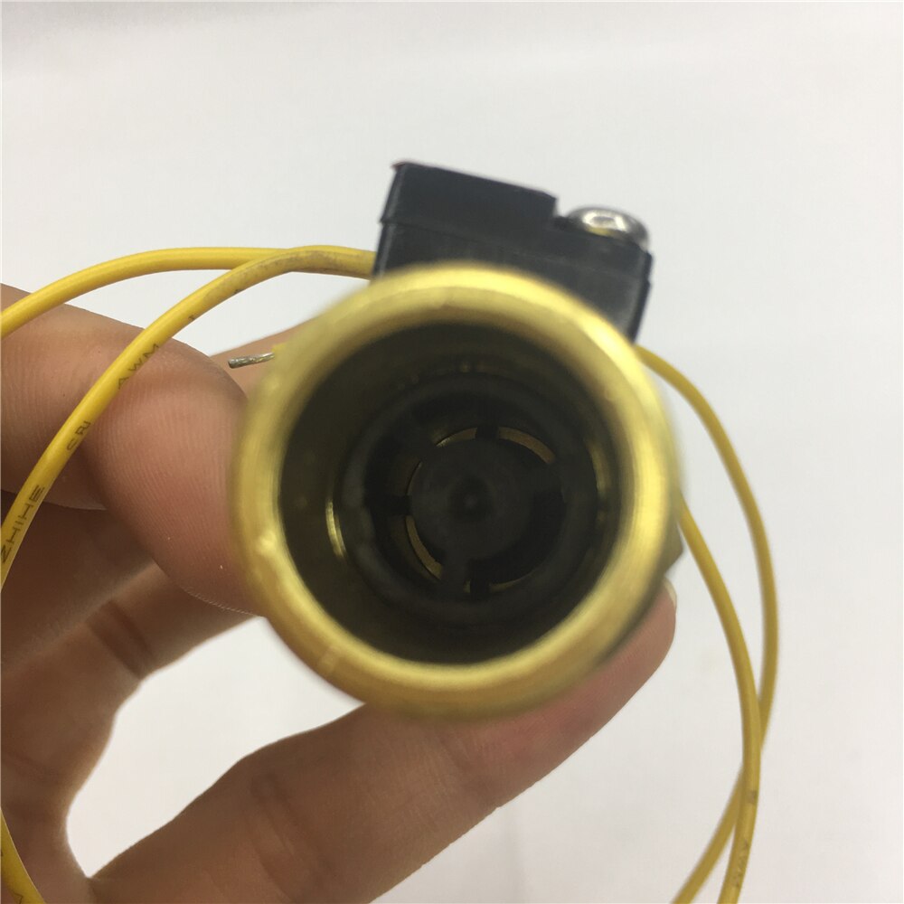 G1/2 "Reed Type Magnetische Messing Flow Swit... – Vicedeal