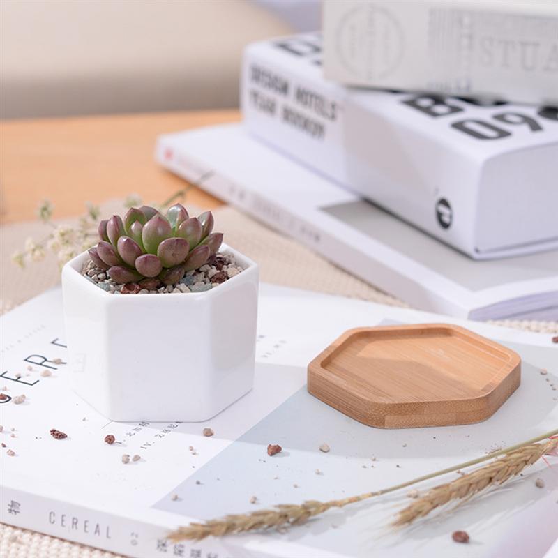 3 Sets of Small White Ceramic Hexagonal Succulent ... – Vicedeal