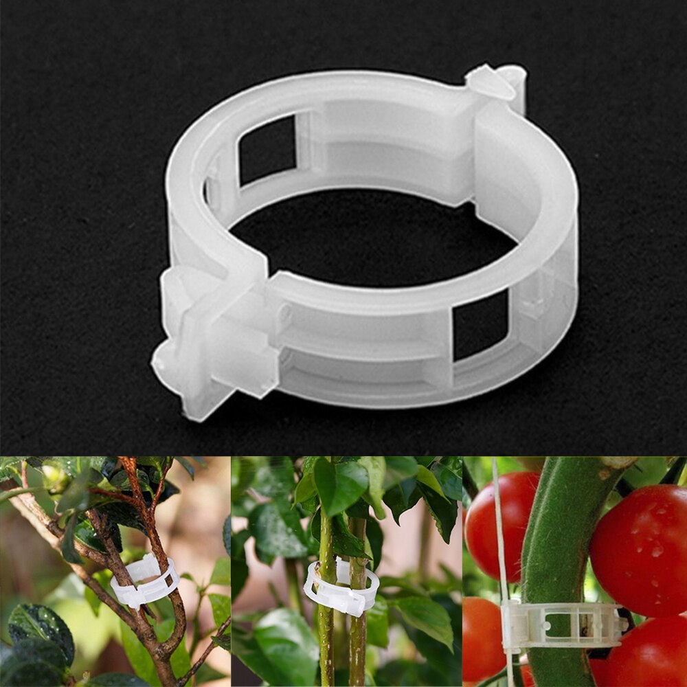 50pcs Reusable Plastic Plant Support Clips Clamps ... – Grandado