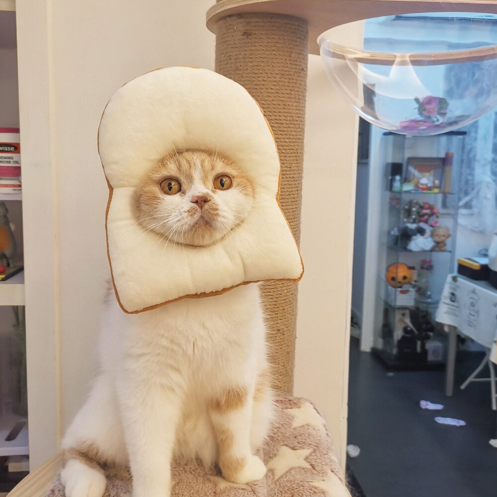 Adjustable Bread Shape Pet Protective Collar Dog N... – Grandado