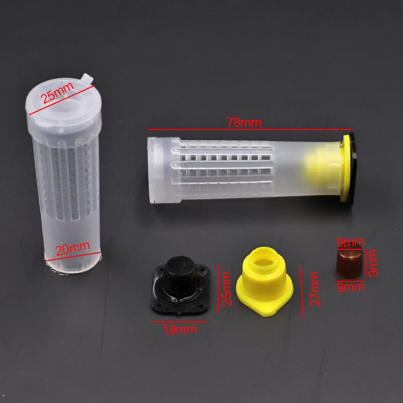 1 Sets Bees Tools Cages King Queen Rearing Cupkit ... – Grandado