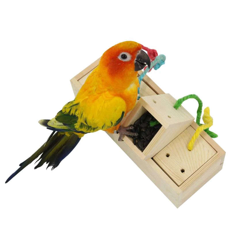 Bird Parrot Intelligence Toy Wooden Box Food Forag... – Grandado