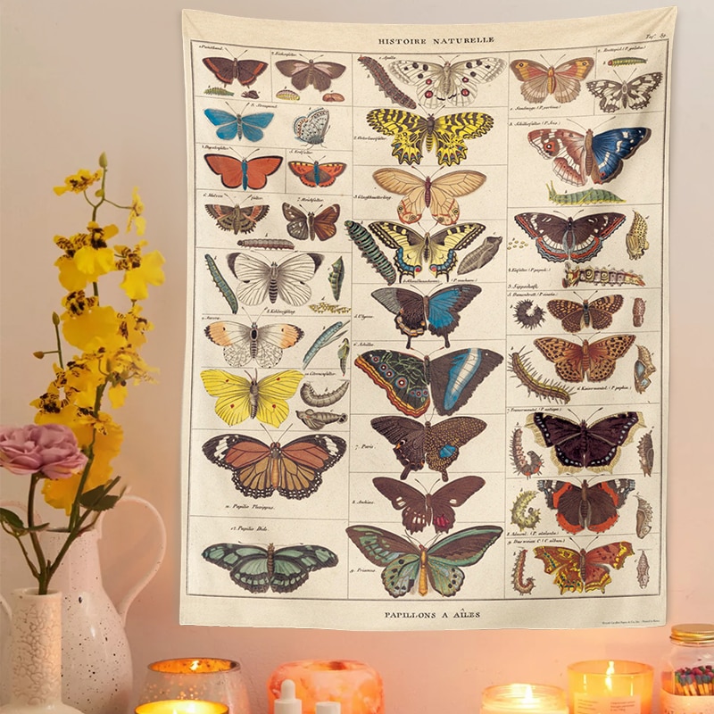 Butterfly Illustration Chart Tapestry Vintage Tape... – Vicedeal