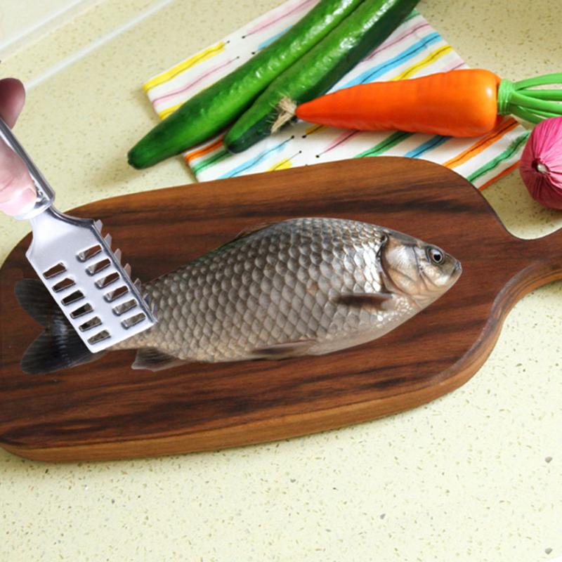Stainless Steel Fish Skin Brush Fast Remove Fish S... – Grandado