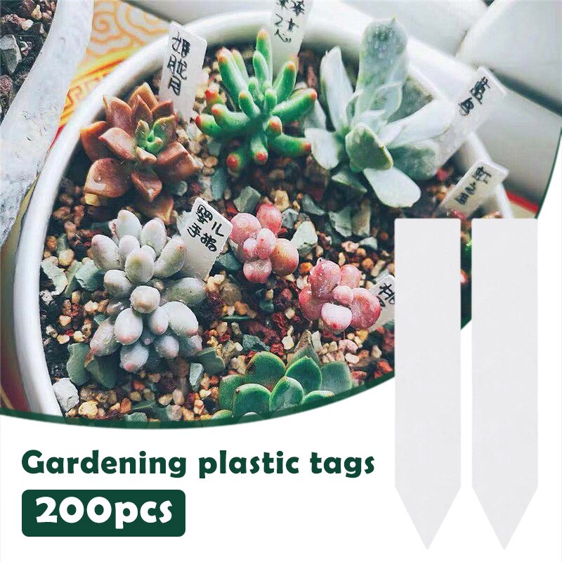 200 Pcs Pvc Plant Label Voor Zaailingen I-Vormige ... – Vicedeal