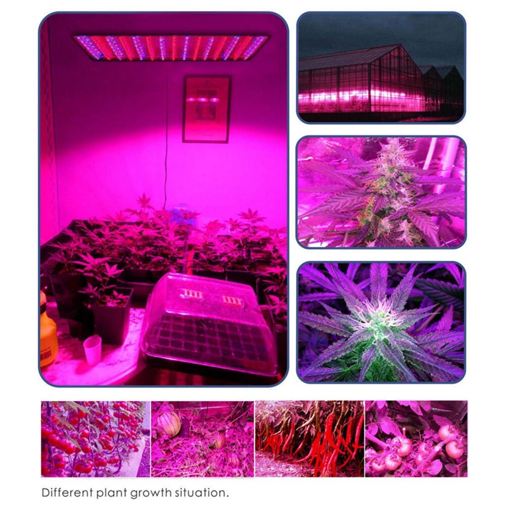 30W 45W 120W 200W LED plant growth lamp succulent ... – Vicedeal