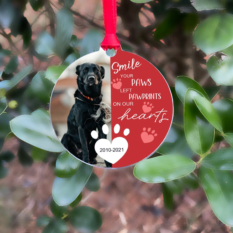 Pet Memorial Ornament with Photo Dog Loss Pet Reme... – Vicedeal
