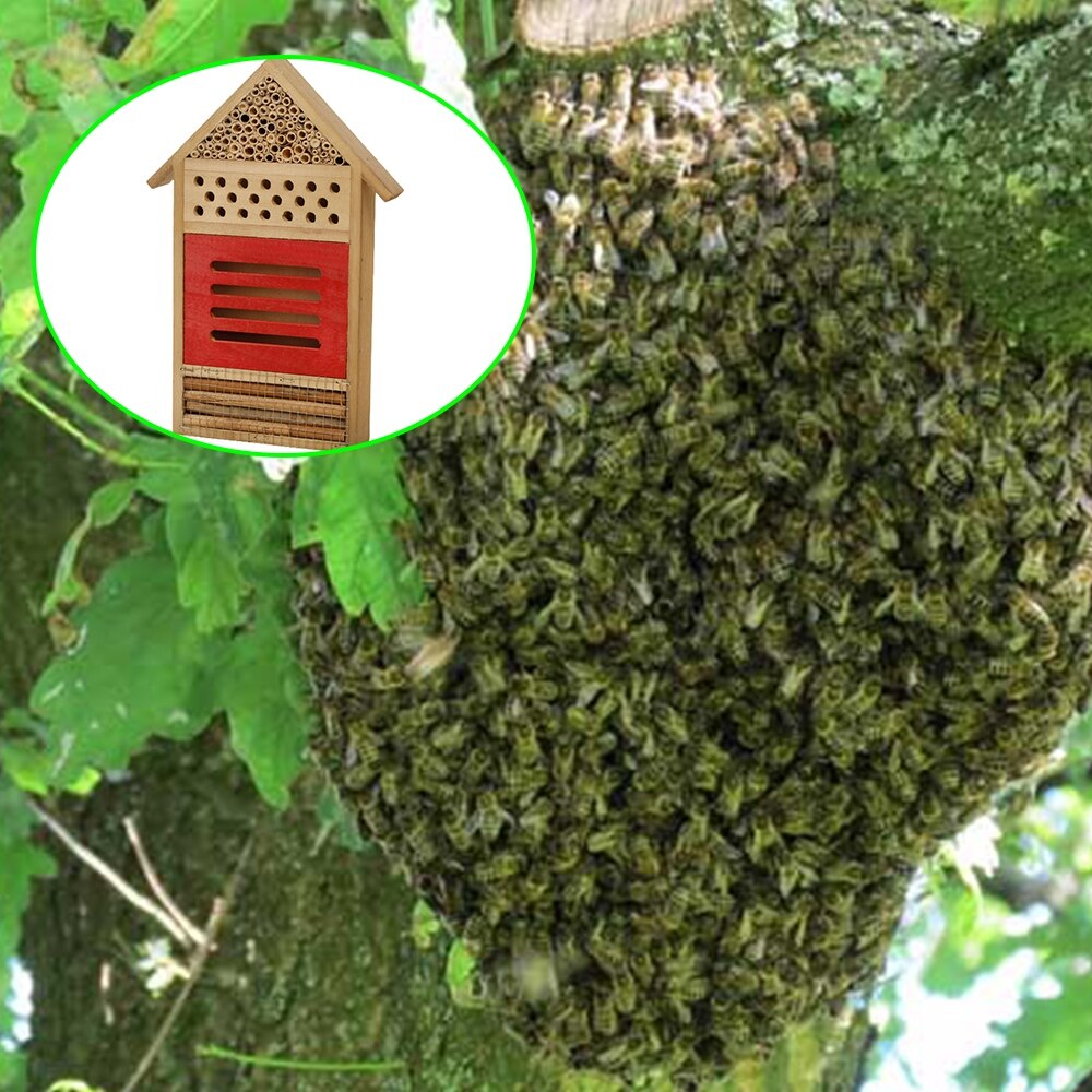 Insect Bee House Wooden Bee Nests Box Beehive Bug ... – Grandado