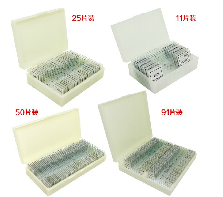 Microscope slide slice biological specimen section... – Grandado