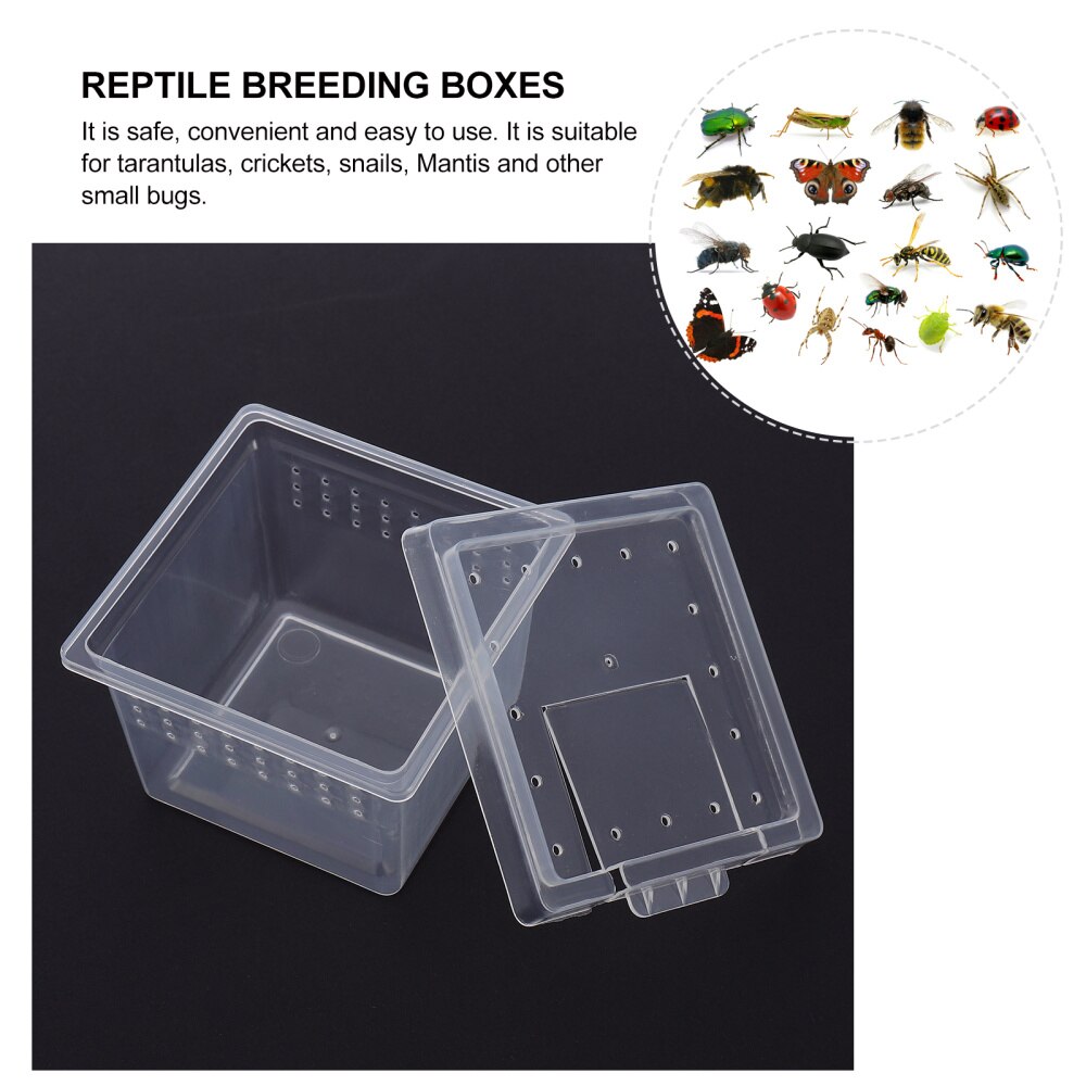 100Pcs Transparent Reptile Breeding Boxes Snake Sp... – Vicedeal