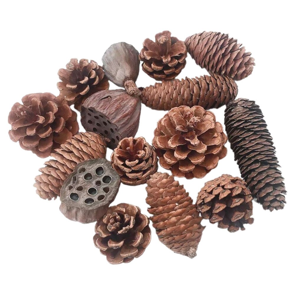 1 Set Xmas Pine Cone Decor DIY Dry Branches for Xm... – Grandado