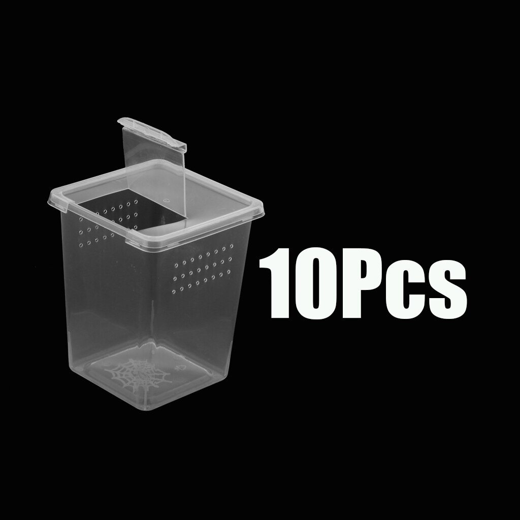 10x Clear Plastic Insect Habitat Feeding Box Case ... – Vicedeal