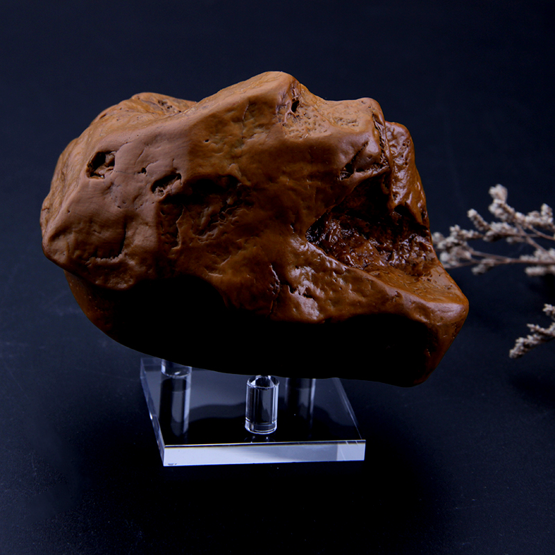 Clear Acrylic Display Stand for Fossils Minerals R... – Vicedeal