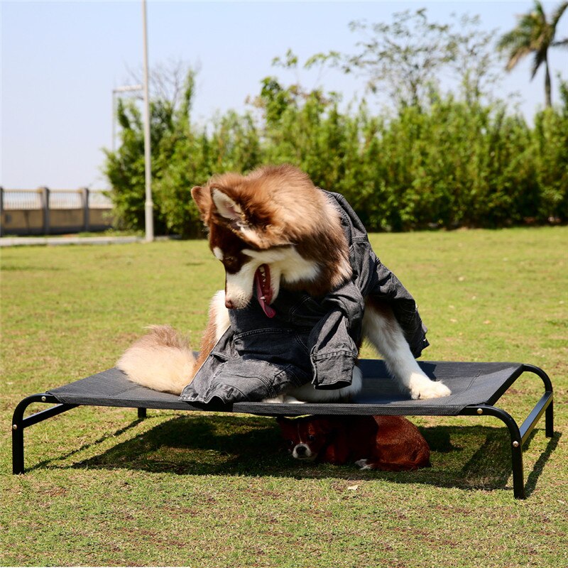 Hond Bed Ademend Bedden Voor Honden Ijzeren Frame ... – Grandado