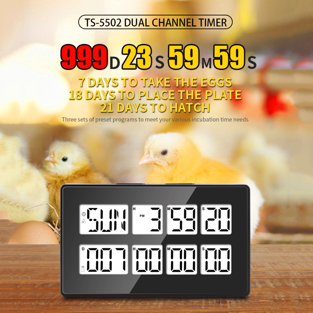 Dual Channel Timer Multifunction Digital Kitchen T... – Vicedeal