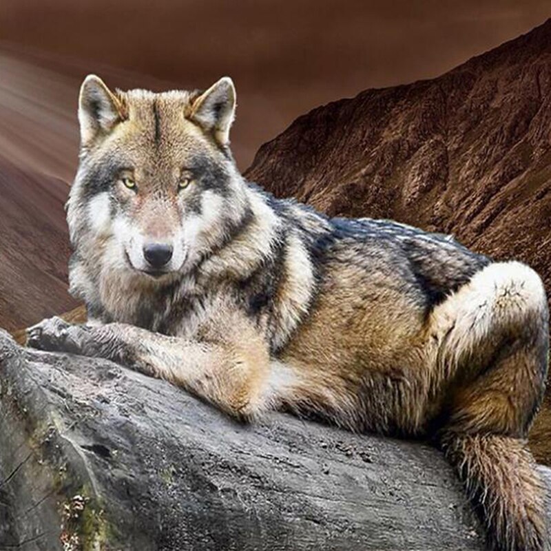 Picture Color 30*40 Round Diamond Diy Diamond Pain... – Grandado