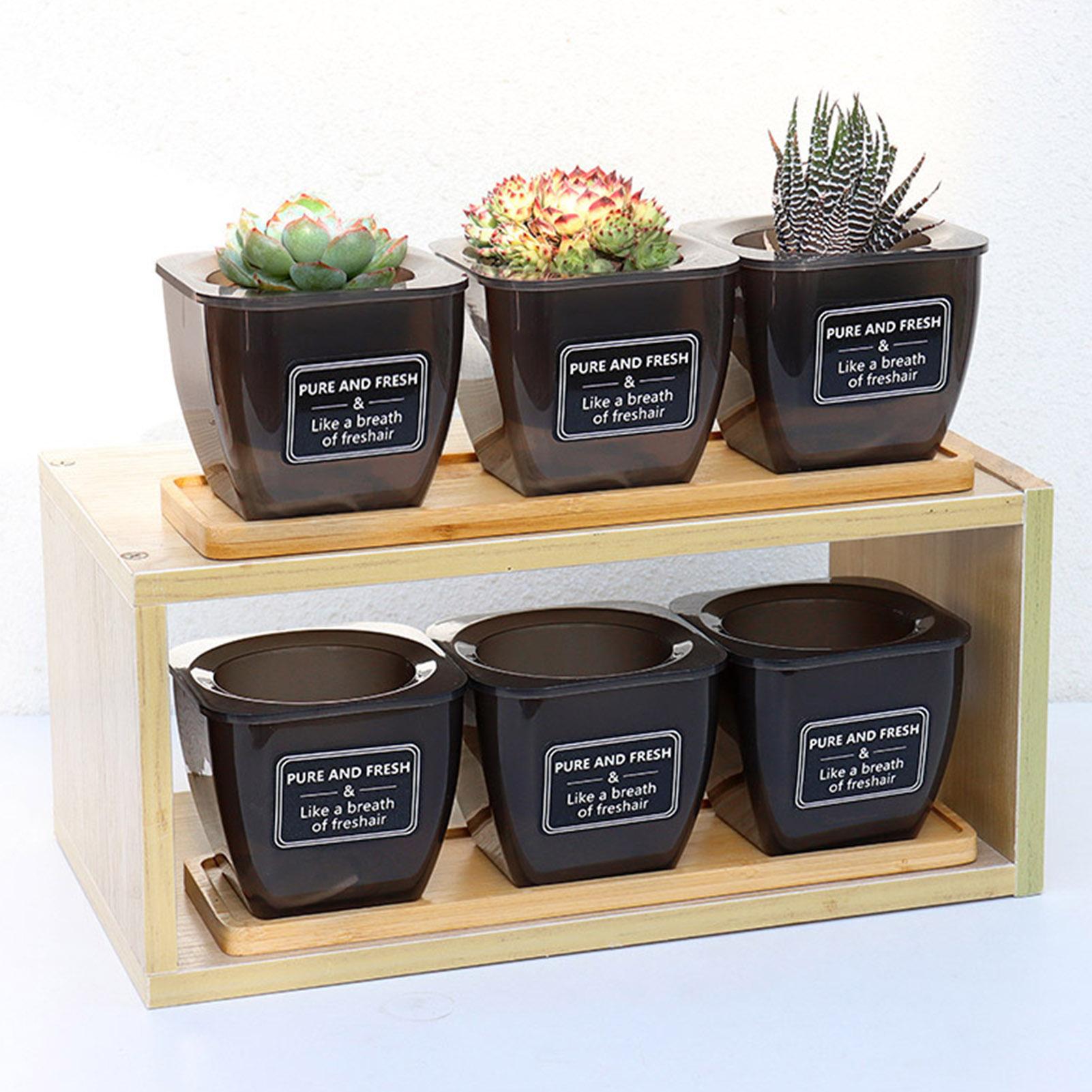 Succulents Plants Bonsai Pots Flowerpot Grow Box S... – Vicedeal