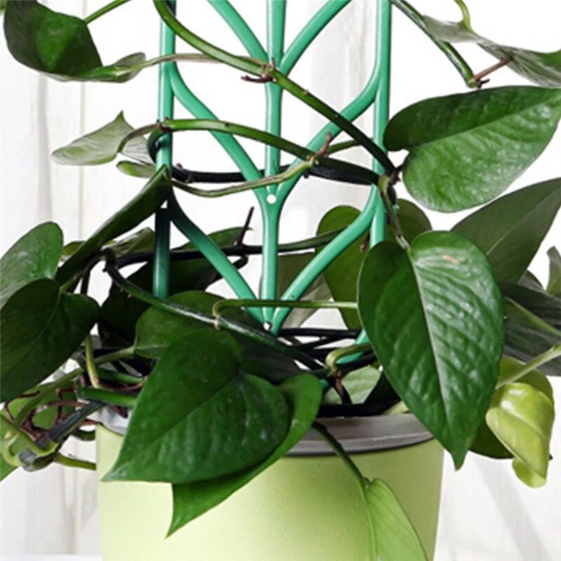 Plant Support Frame Climbing Wall Fixture Rack Flo... – Grandado