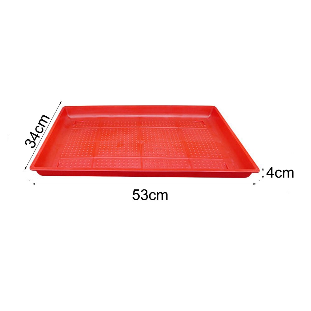 1PC Poultry Chicken Fodder Tray Red Plastic Chicks... – Grandado