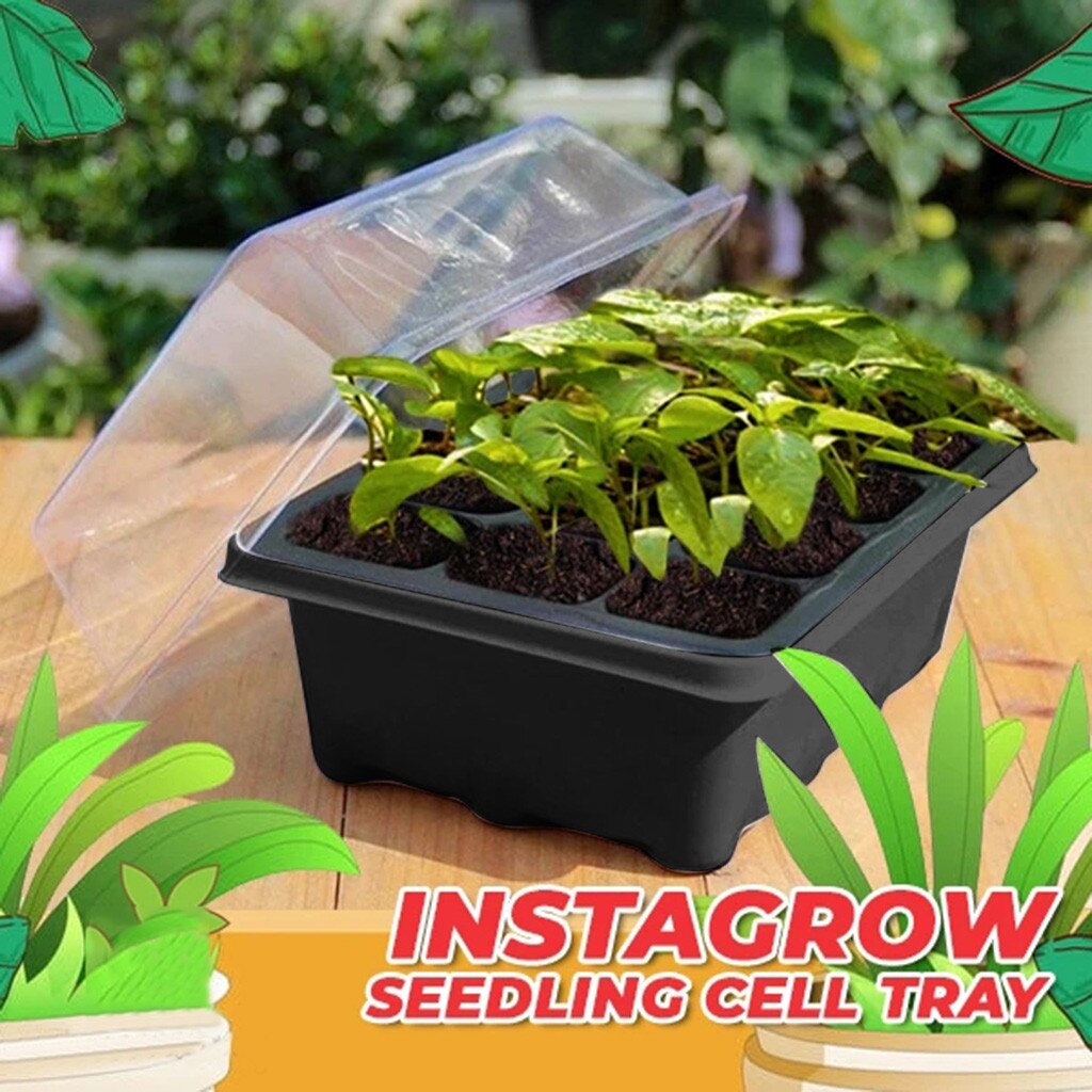 12 Hole Plant Seed Grows Box Nursery Seedling Star... – Vicedeal