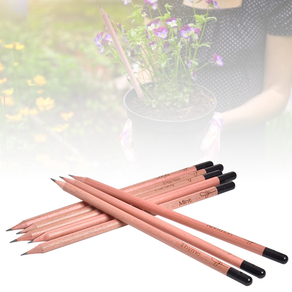 8PCS Idea Germination Pencil Set To Grow Pencil Sp... – Grandado