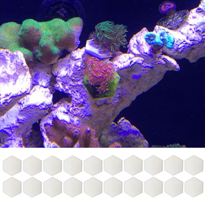 L21A 20pcs Pure White Ceramic Coral Frag Disks Hex... – Vicedeal