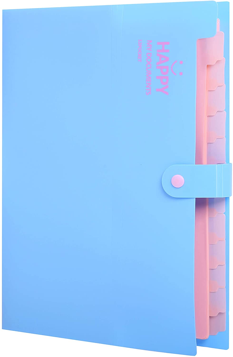 Expanding File Folders 12 Pockets Accordion A4 and... – Grandado