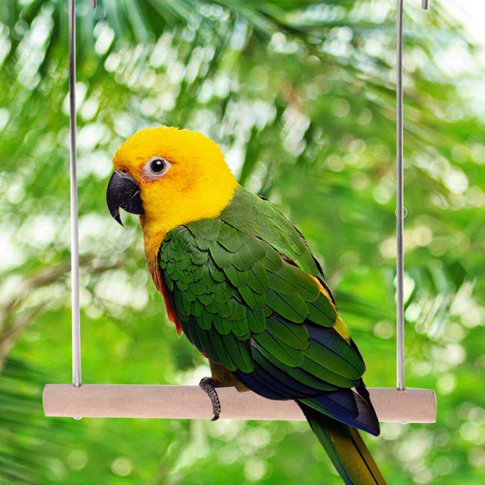 1 Stuk Van Natuurlijke Houten Papegaai Swing Vogel... – Vicedeal
