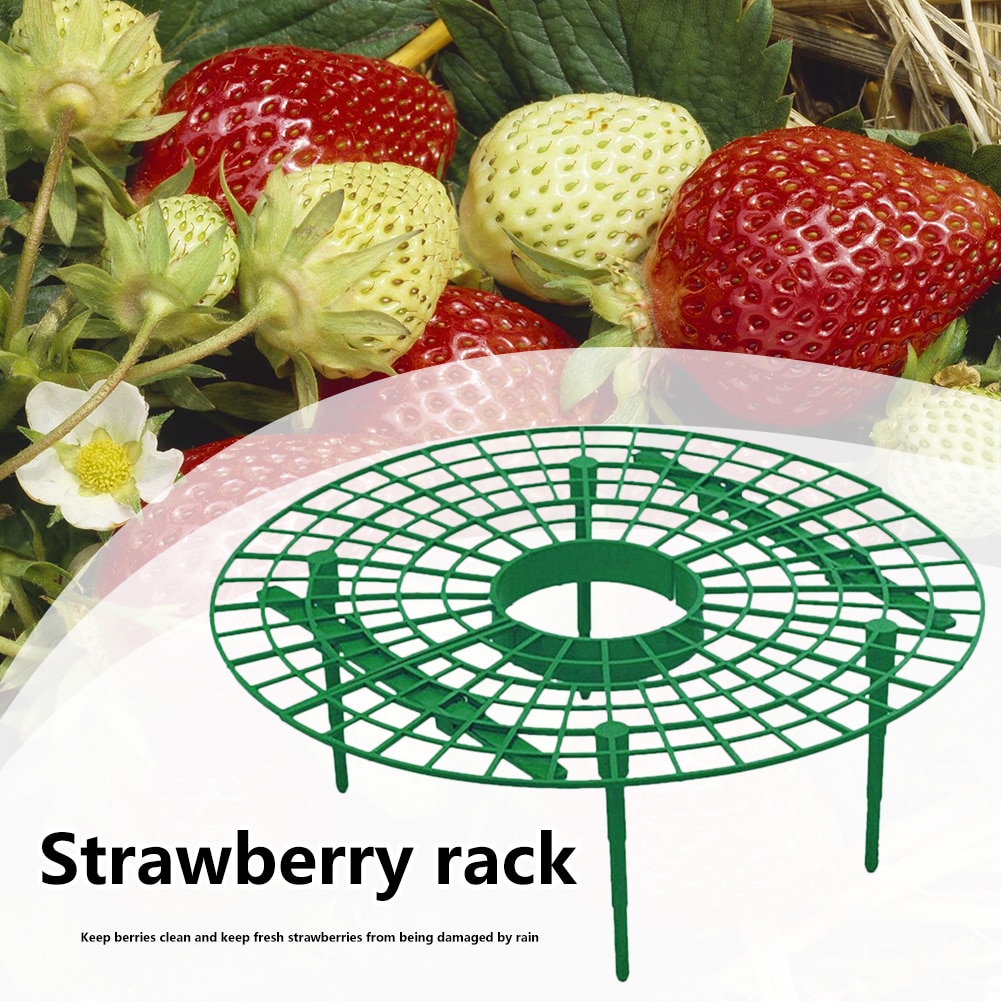 Plastic Strawberry Support Stand Removable Vegetab... – Grandado
