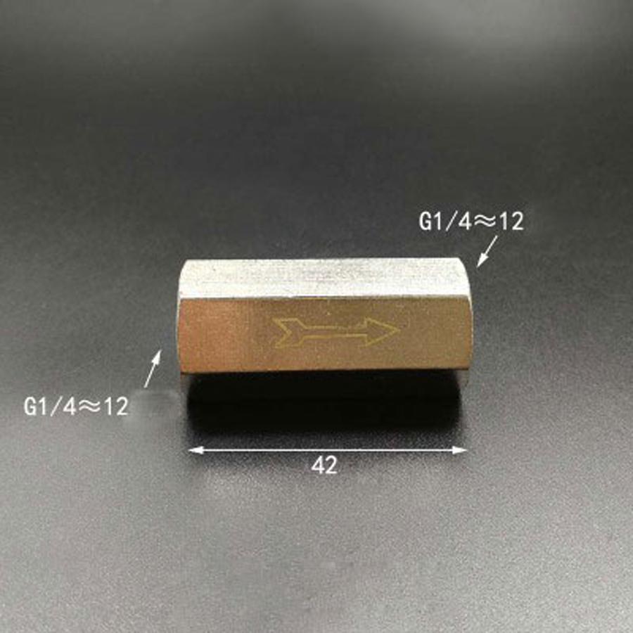 DN8 1/4" BSP Female Nickel Plated Brass Check Valv... – Grandado