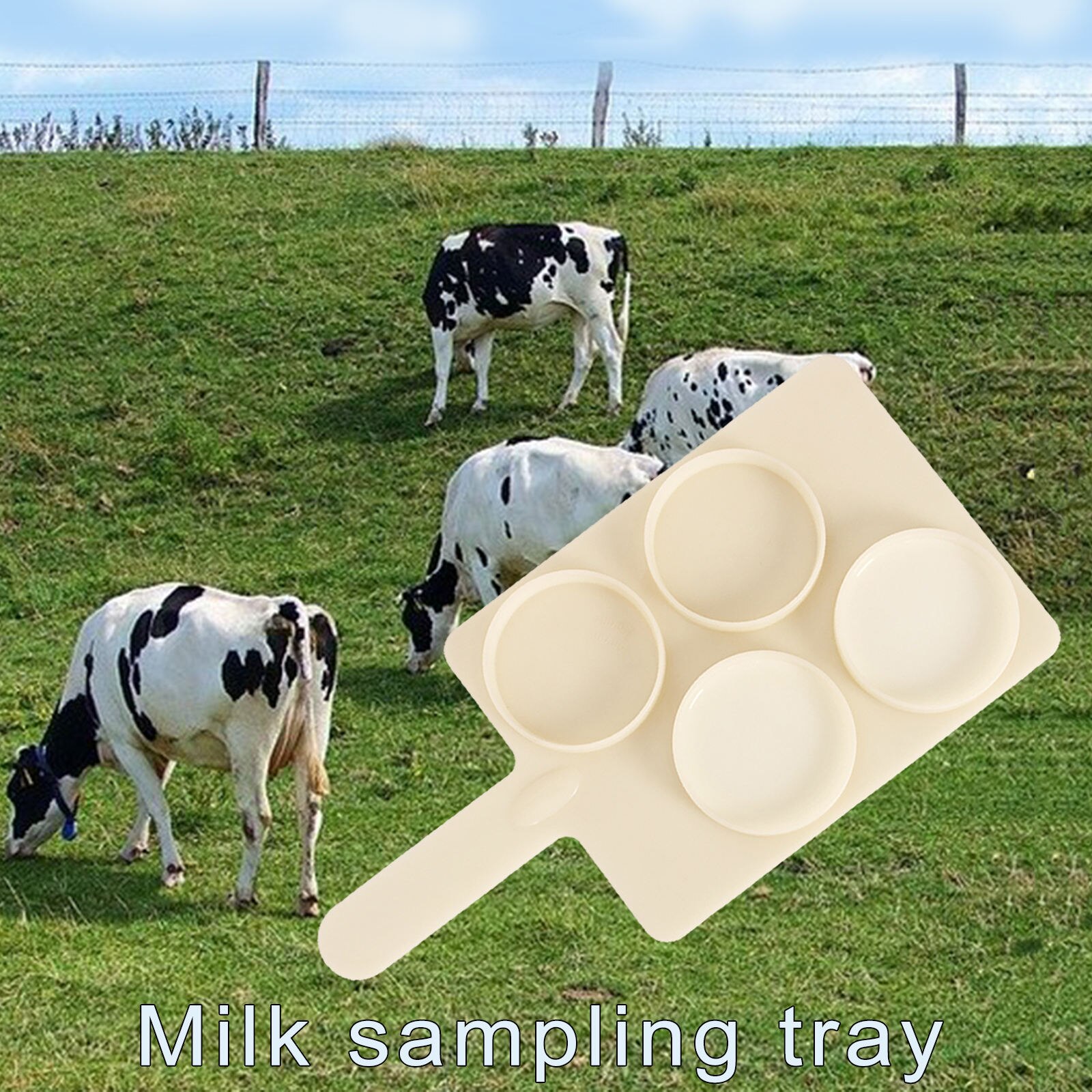 ABS Milk Collection Sampling Tray Cattle Farm Labo... – Grandado