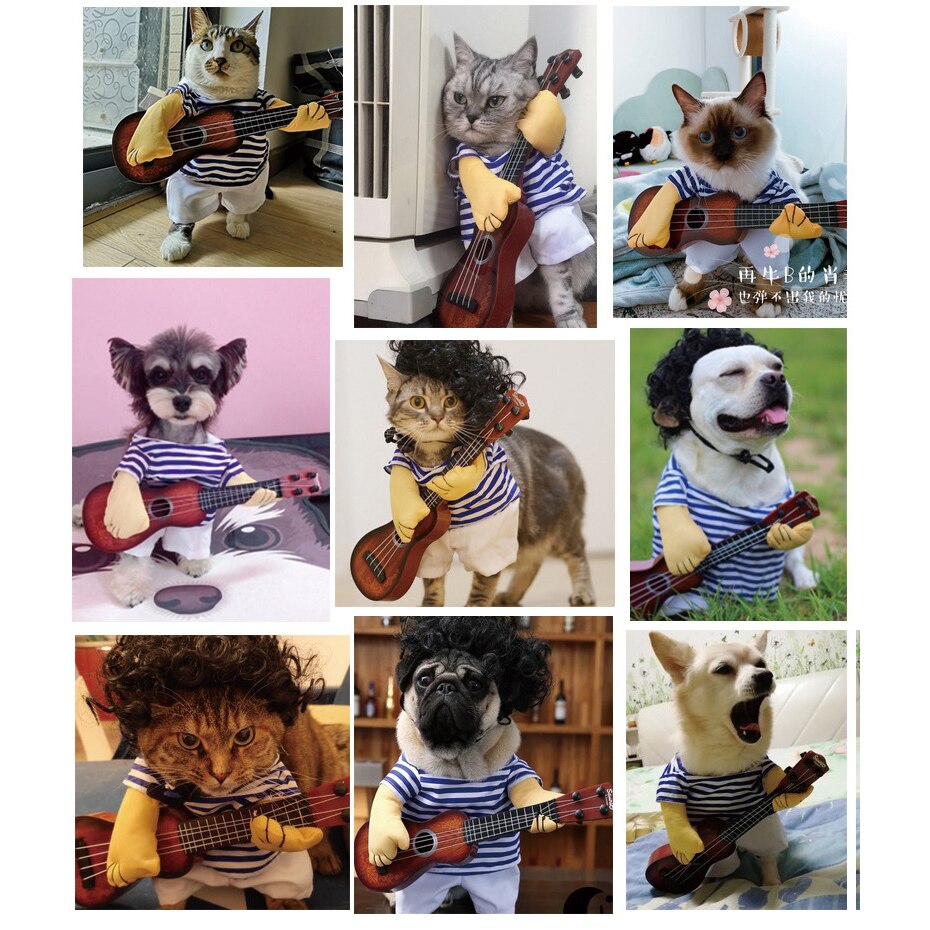 Pet Disguise Wearing Funniest Breathable Cat Costu... – Grandado