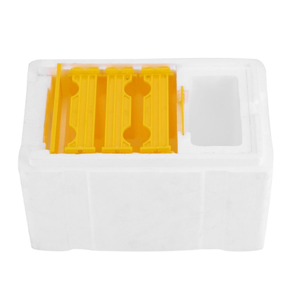 Boîte d'accouplement pour abeilles, outils apicult... – Grandado