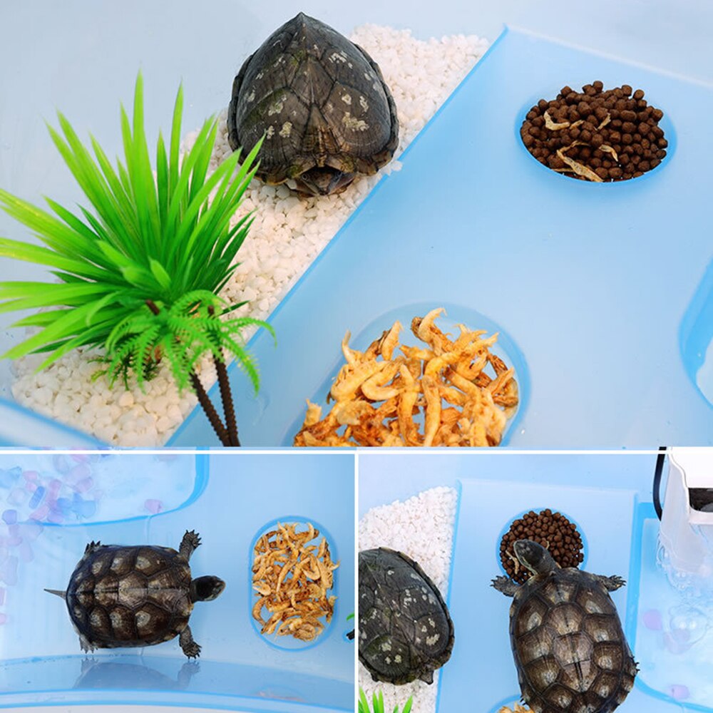 1PC Reptile Turtle Vivarium Box Tortoise Aquarium ... – Grandado