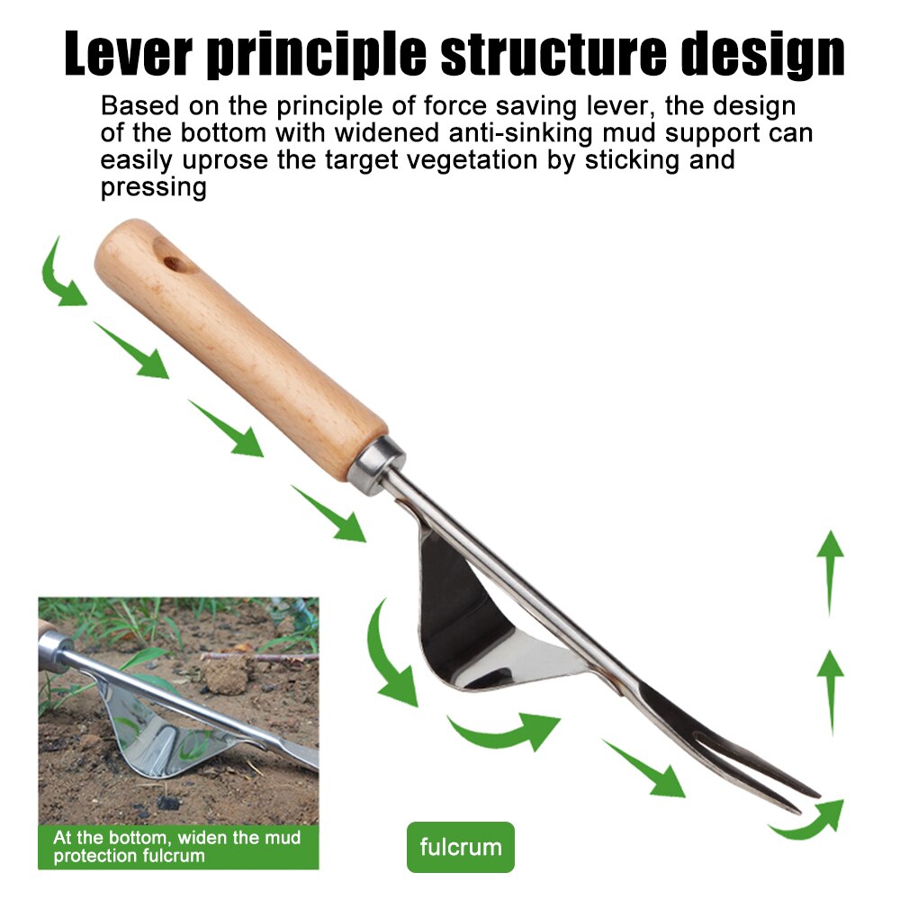 Stainless Steel Root Lifter Weeder Garden Gardenin... – Grandado