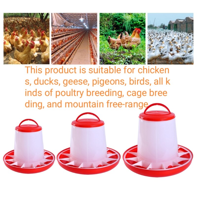 Chick Feeder and Waterer Combo 3.3Lbs Chicken Feed... – Grandado
